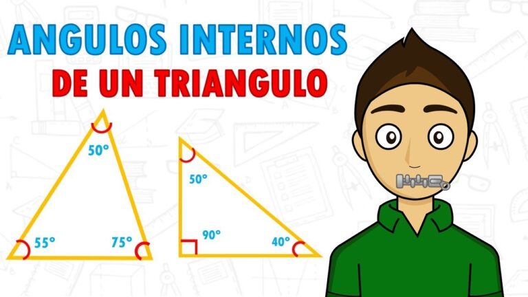 ¿Sabes cuántos ángulos de 90 grados tiene un triángulo rectángulo ...